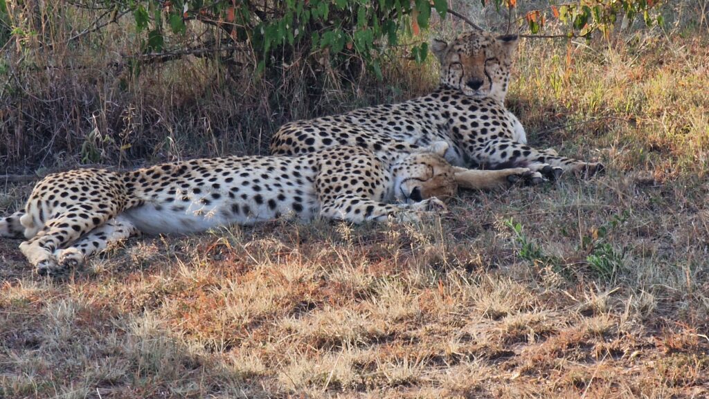 Munk-Krøyer's rejseblog | sommeren 2013, 2016, 2018 og 2023